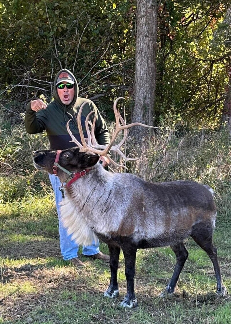 Where to Find Reindeer in Oklahoma - TulsaKids Magazine