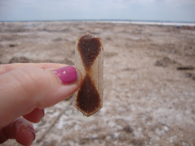 Digging For Crystals at Great Salt Plains State Park - TulsaKids Magazine